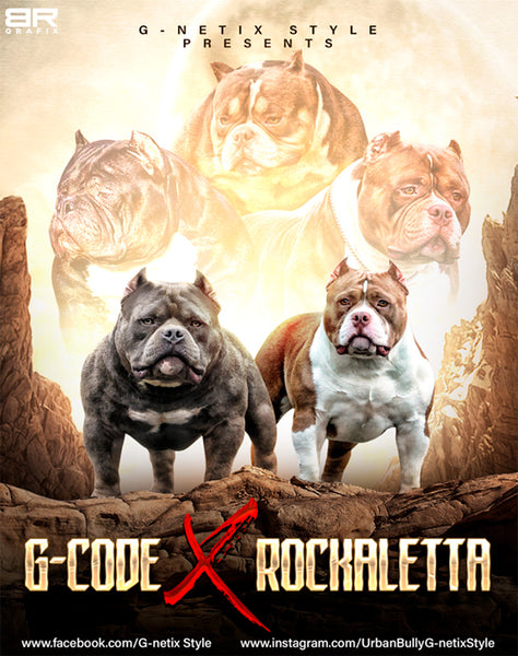 The G-code x Rockaletta – G-NETIX AMERICAN BULLIES AUSTRALIA